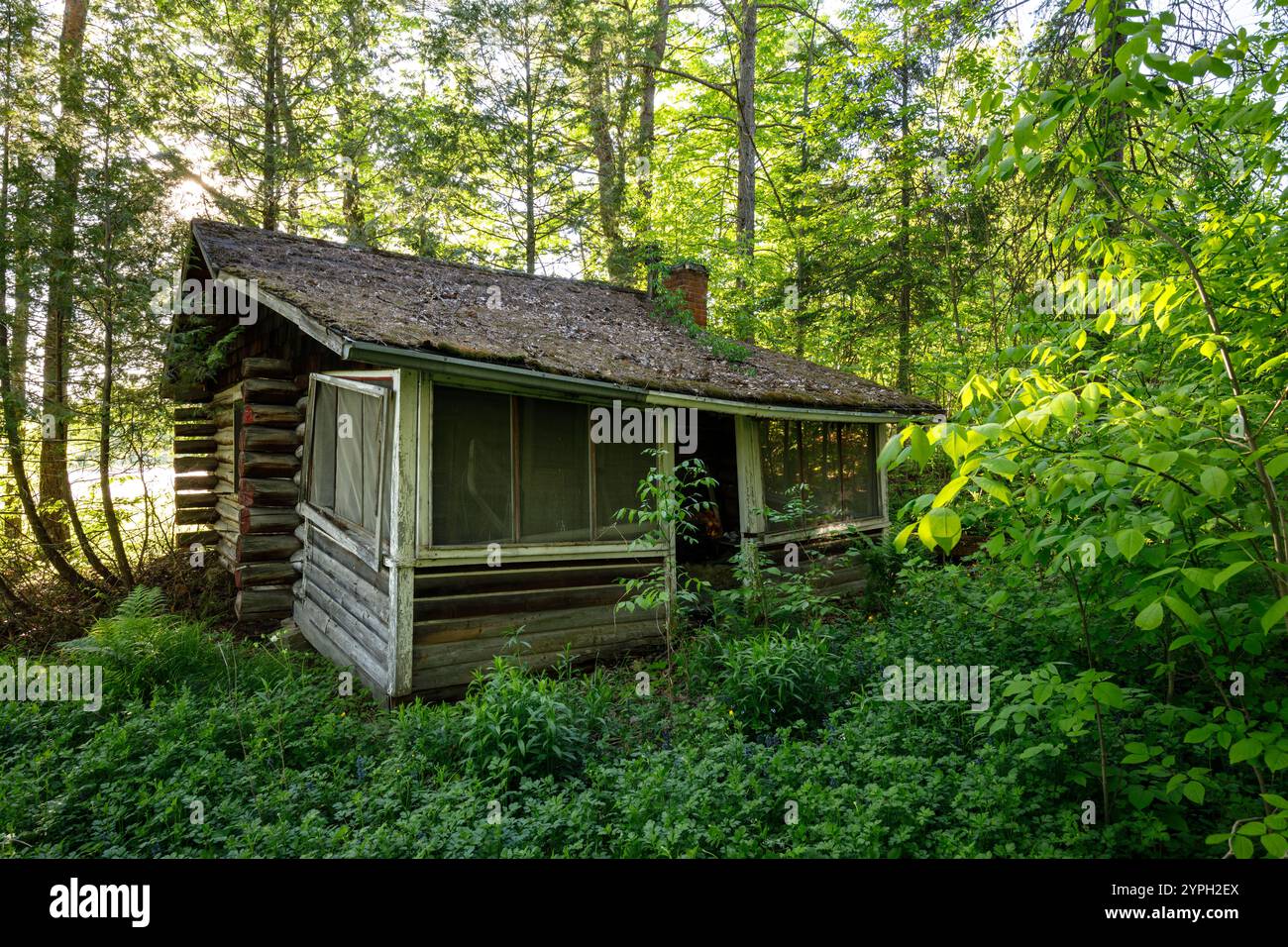 A dilapidated log cabin in a forest Stock Photo - Alamy