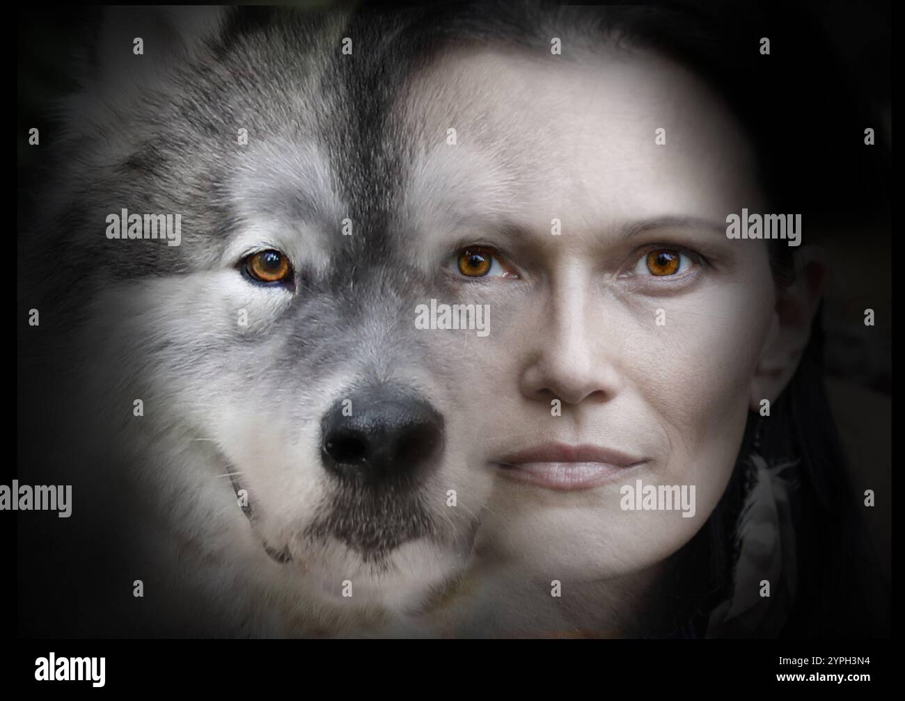 Photo collage of portraits of a beautiful woman and an Alaskan Malamute ...