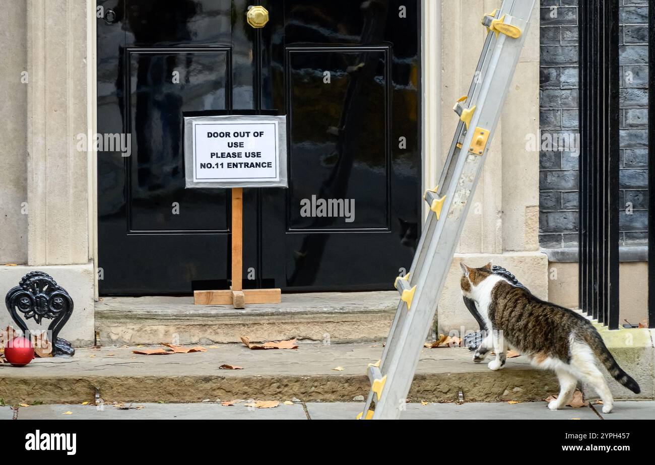 Larry the Cat - Chief Mouser to the Cabinet Office since 2011 - in ...