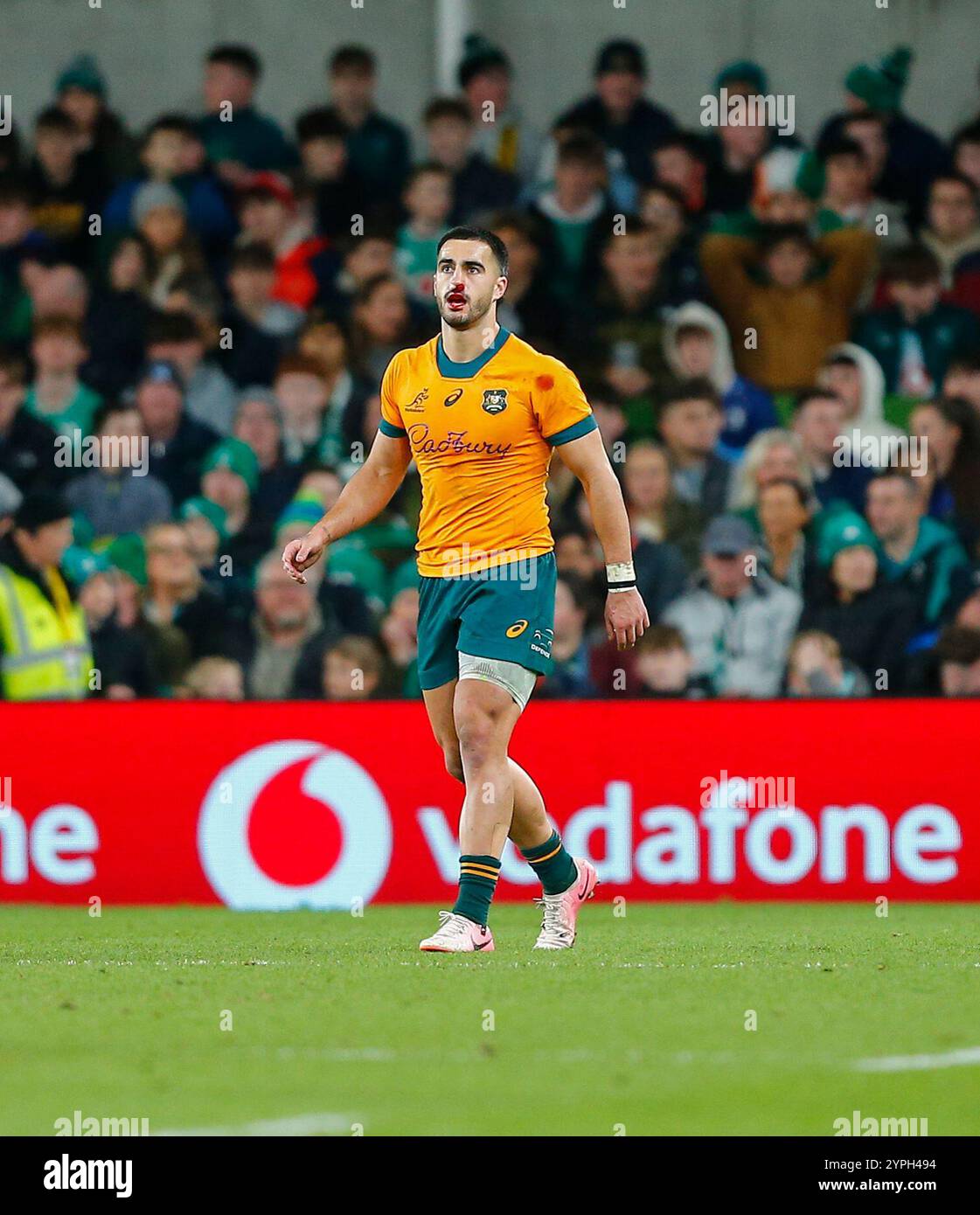 Dublin, Ireland. 30th November 2024; Aviva Stadium, Dublin, Ireland ...