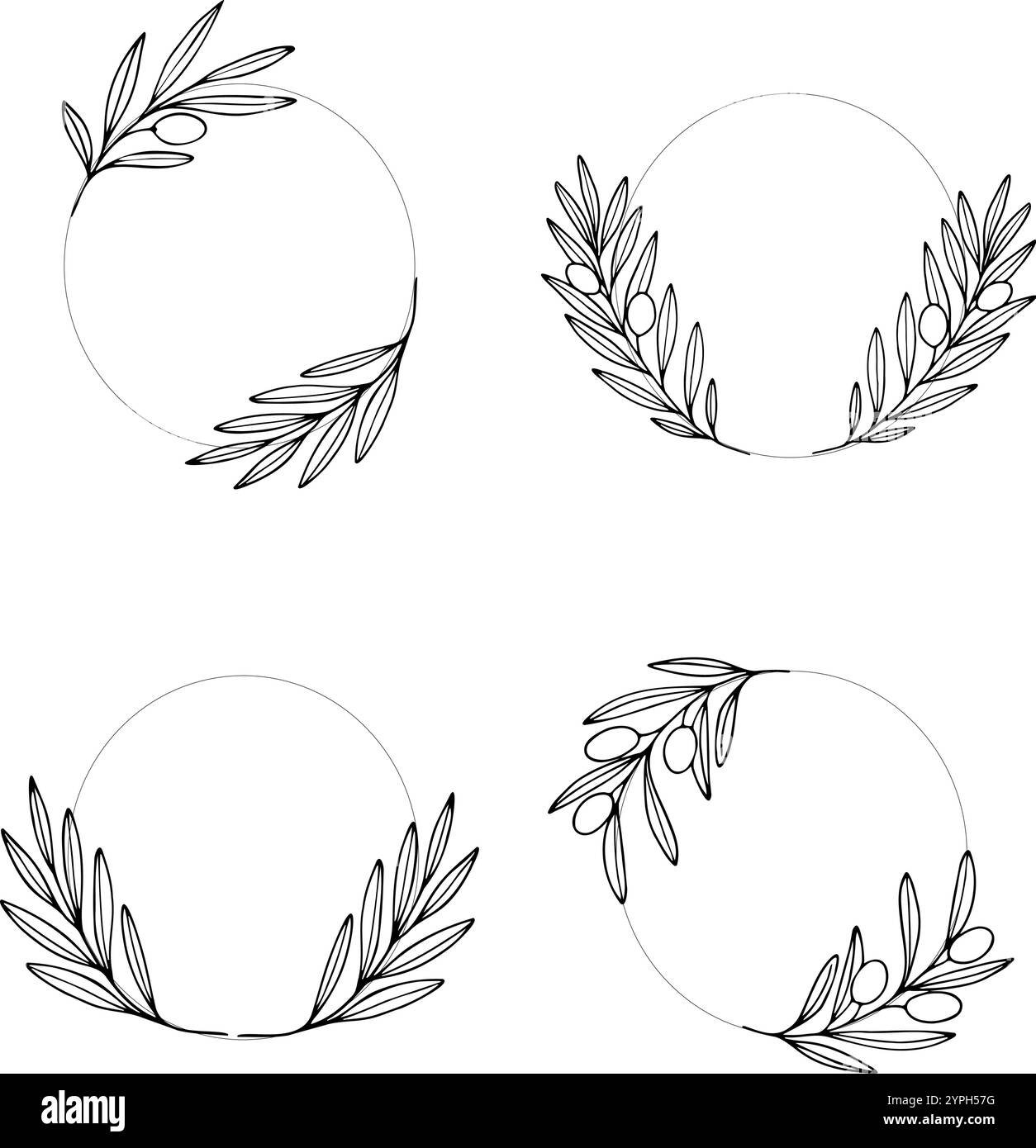 Vector wreath olive set. Botanical hand drawn frames of branches Stock ...