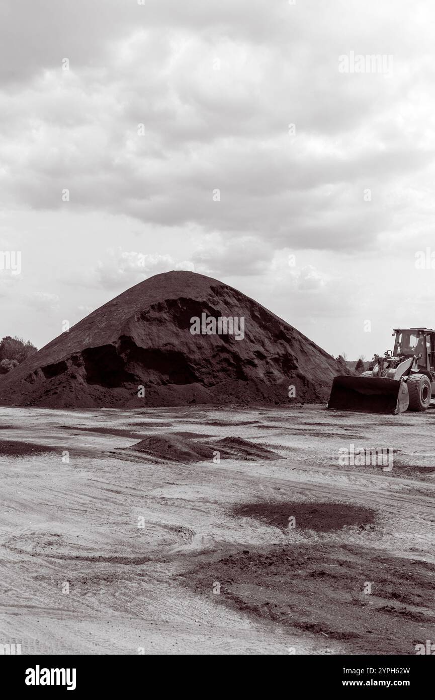 Compost piles, made from cow manure, getting turned and piled up at ...