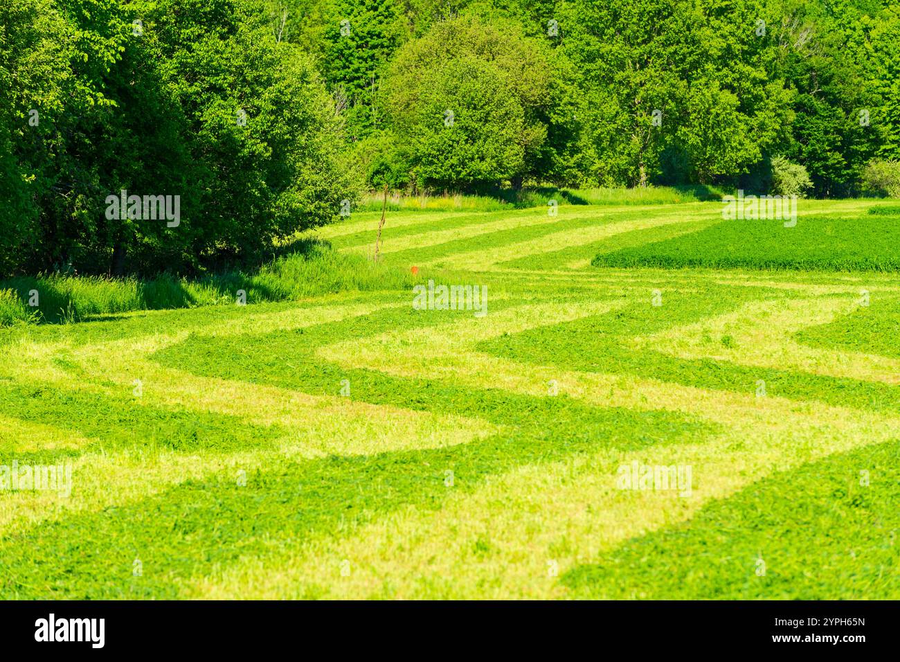 Partial mow hi-res stock photography and images - Alamy