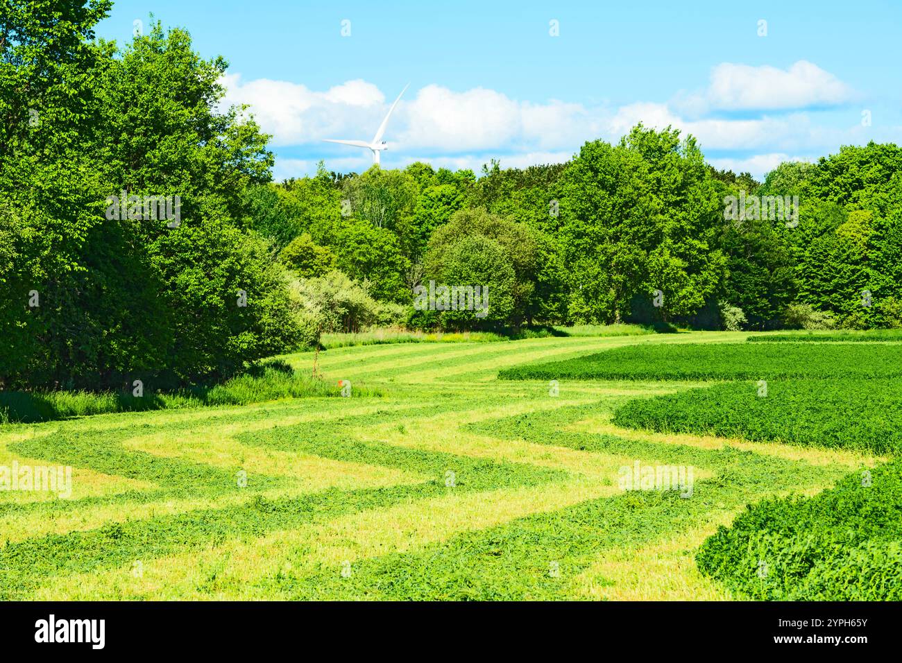 Partial mowed hay field hi-res stock photography and images - Alamy