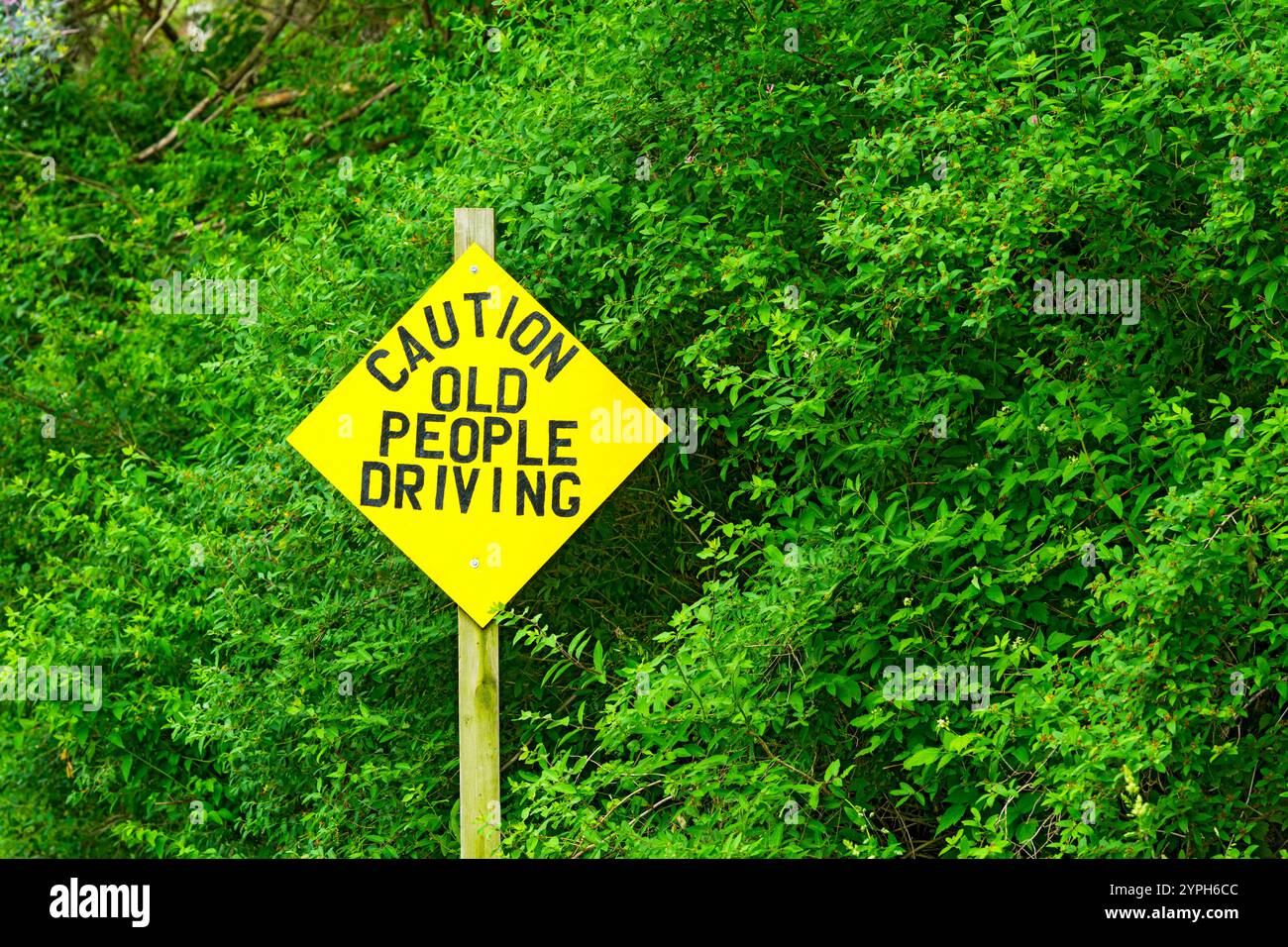 Funny road sign that says, "Caution: Old People Driving" in Summit ...