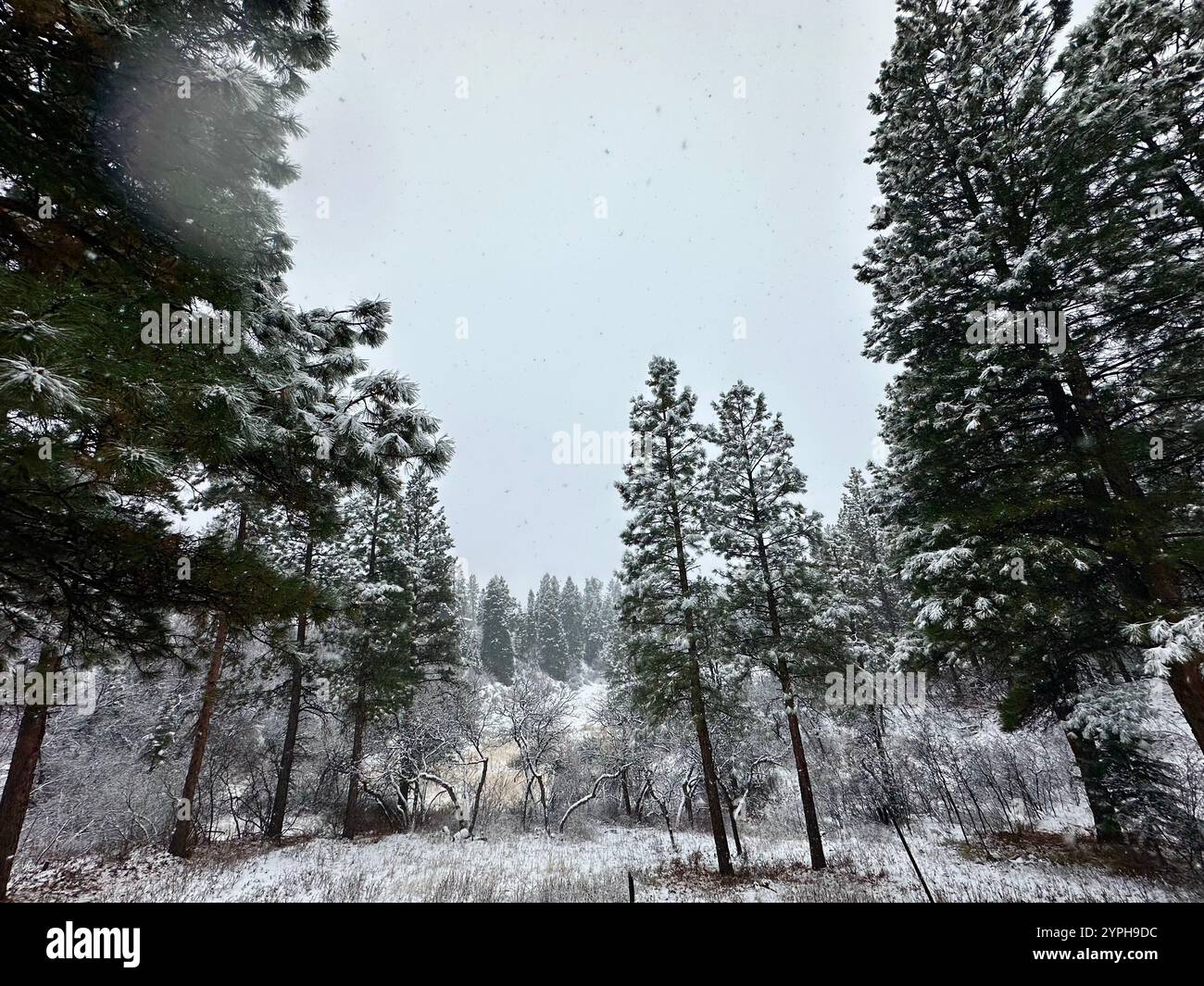 Durango colorado christmas hi-res stock photography and images - Alamy