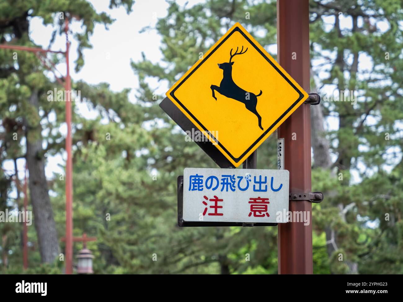 Deer crossing signage hi-res stock photography and images - Alamy
