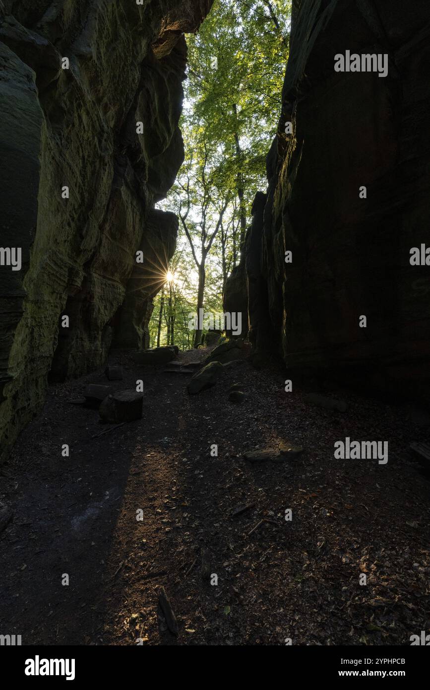 Sunset on the Mullerthal Trail, hiking trail between sandstone cliffs ...