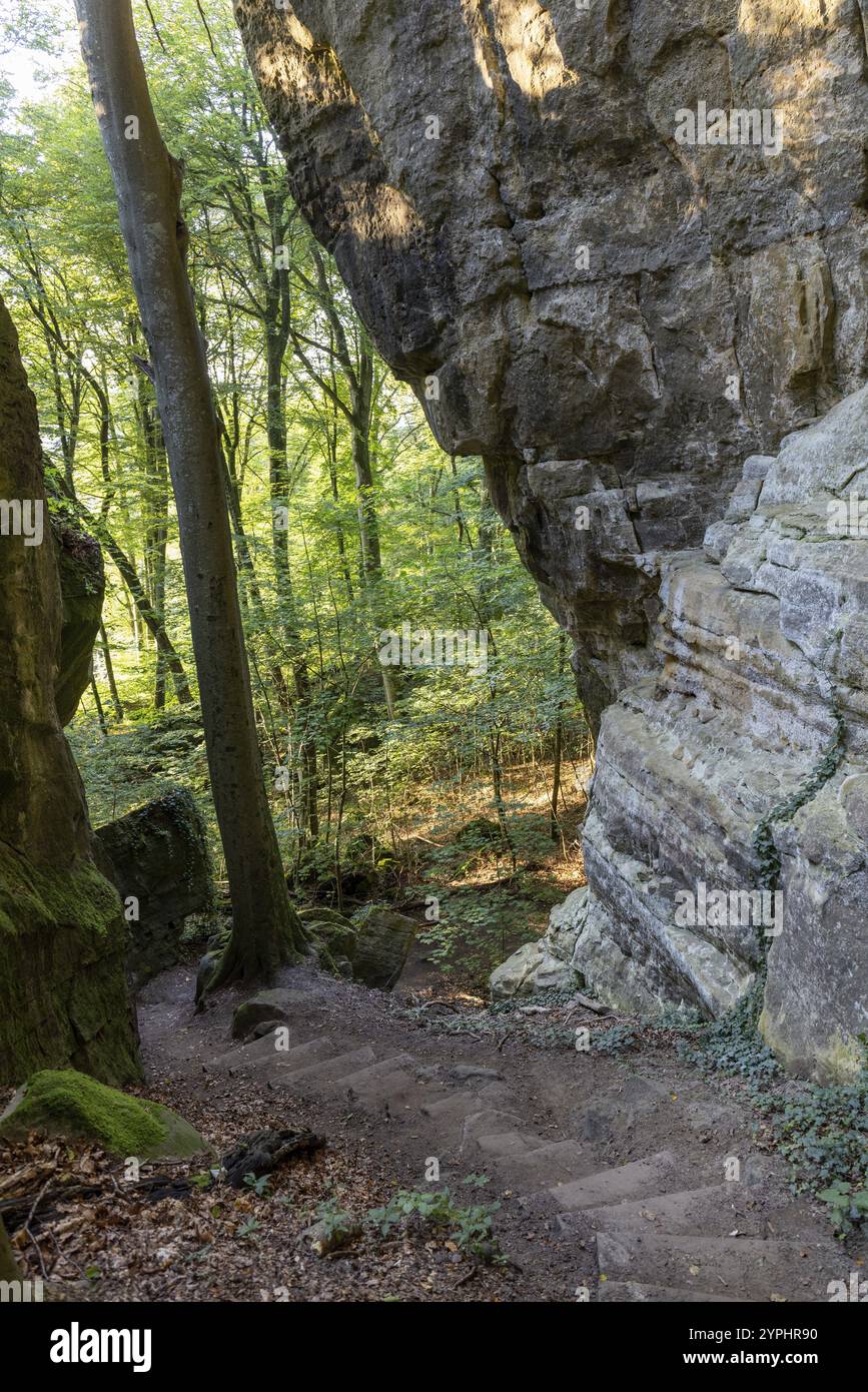 Hiking trail in sandstone cliffs, Mullerthal Trail, Berdorf, Luxembourg ...