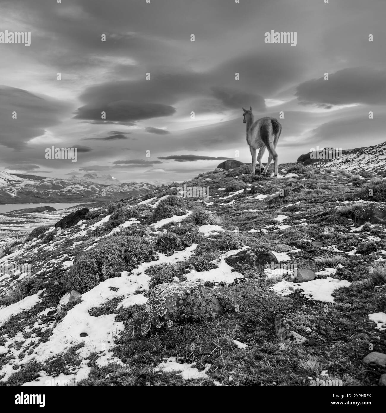 Breathtaking nature landscape panoramic Black and White Stock Photos ...