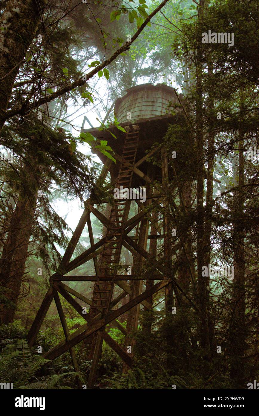 Low angle view of abandoned water tower with some damage and moss ...
