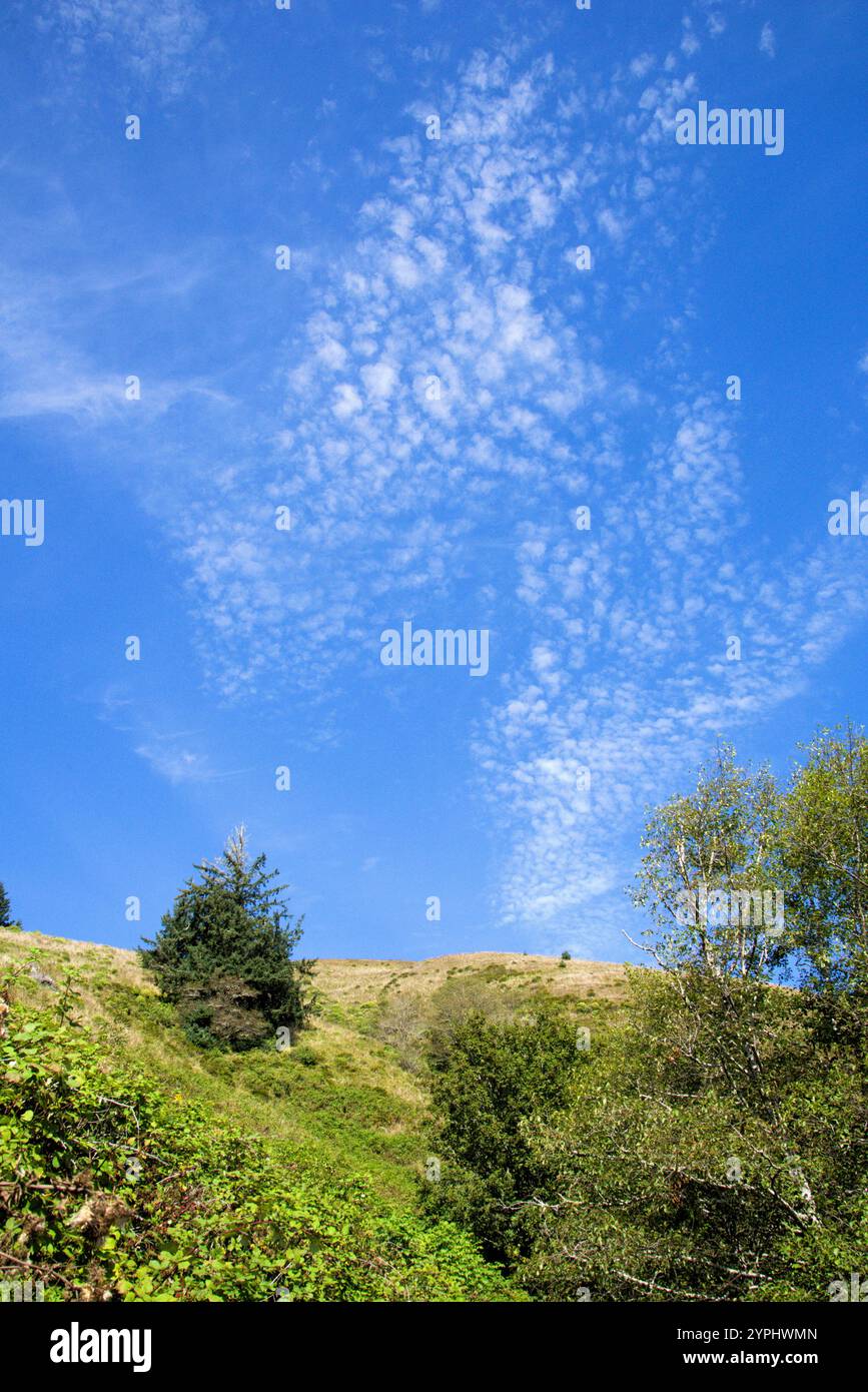 View directly overhead to a smattering of clouds in a blue sky, with a ...