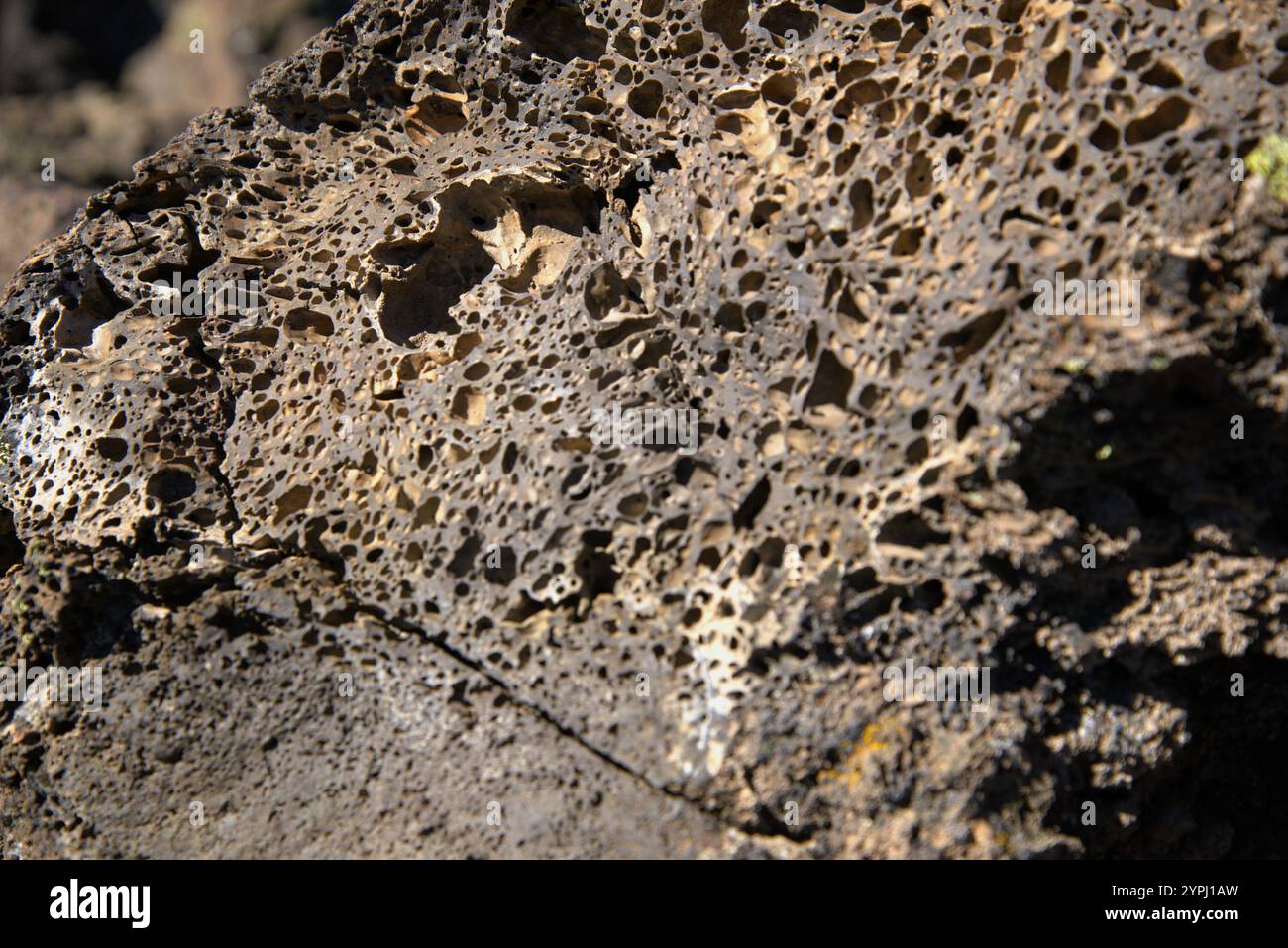 Porous lava rock hi-res stock photography and images - Alamy