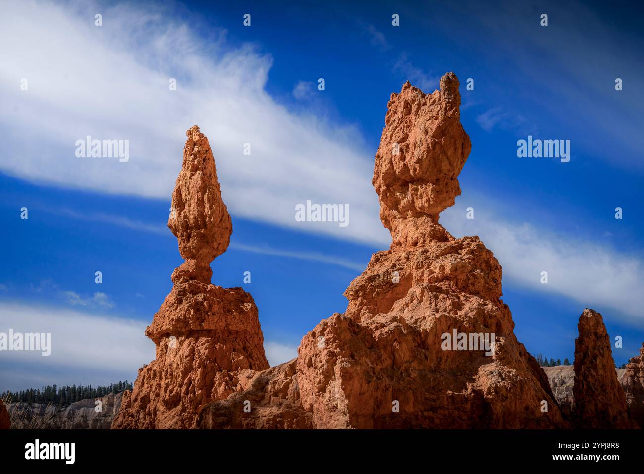 Hoodoos in Bryce Canyon National Park, Utah, United States Stock Photo ...