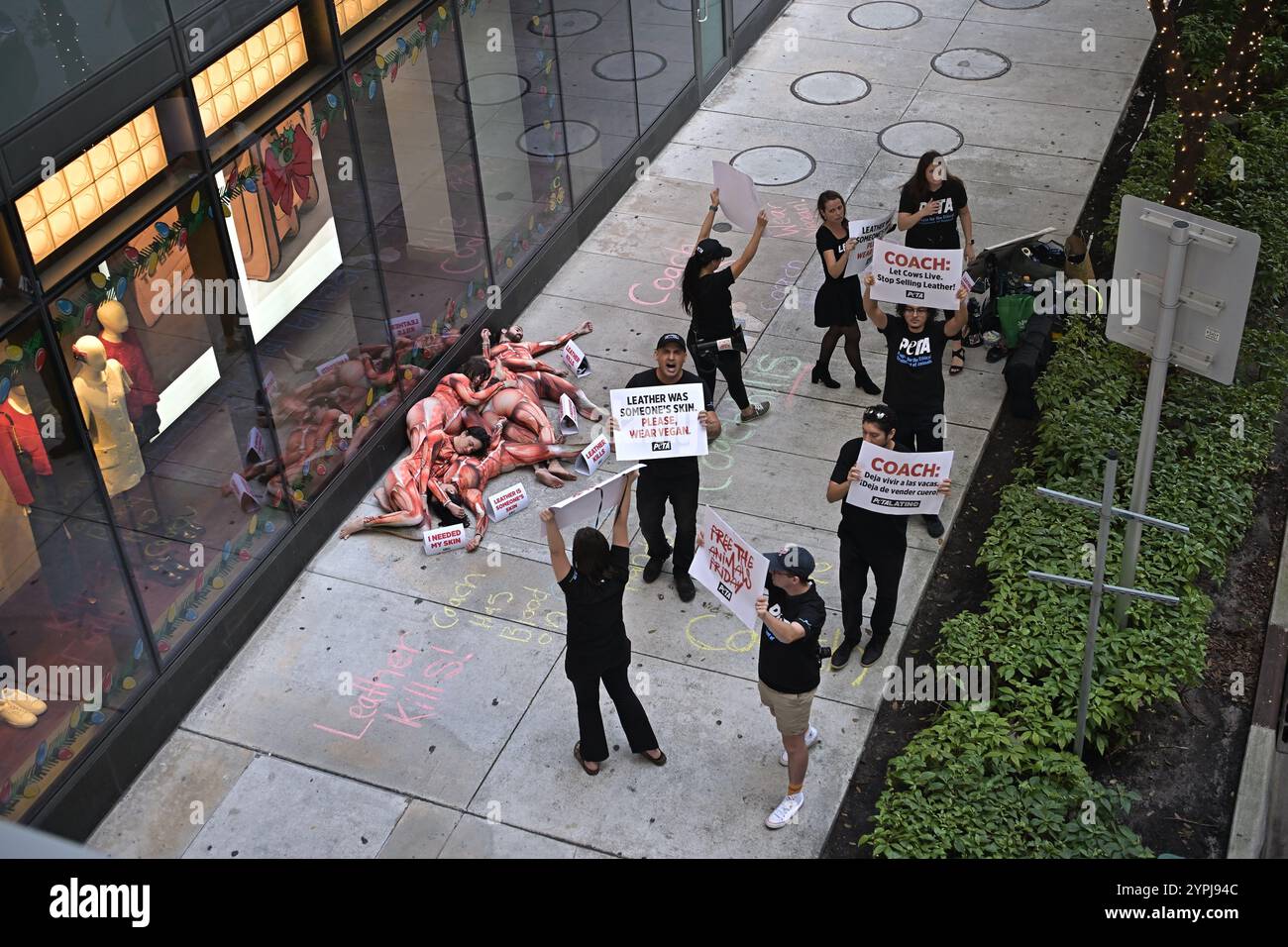 Miami, USA. 29th Nov, 2024. PETA protestors outside the Coach store at ...