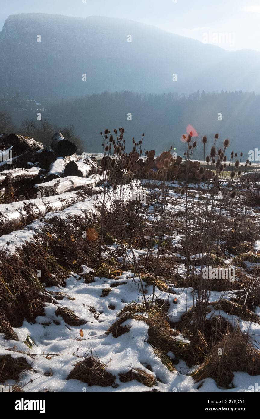 A winter landscape in the French savoy area, near the town of Entre ...