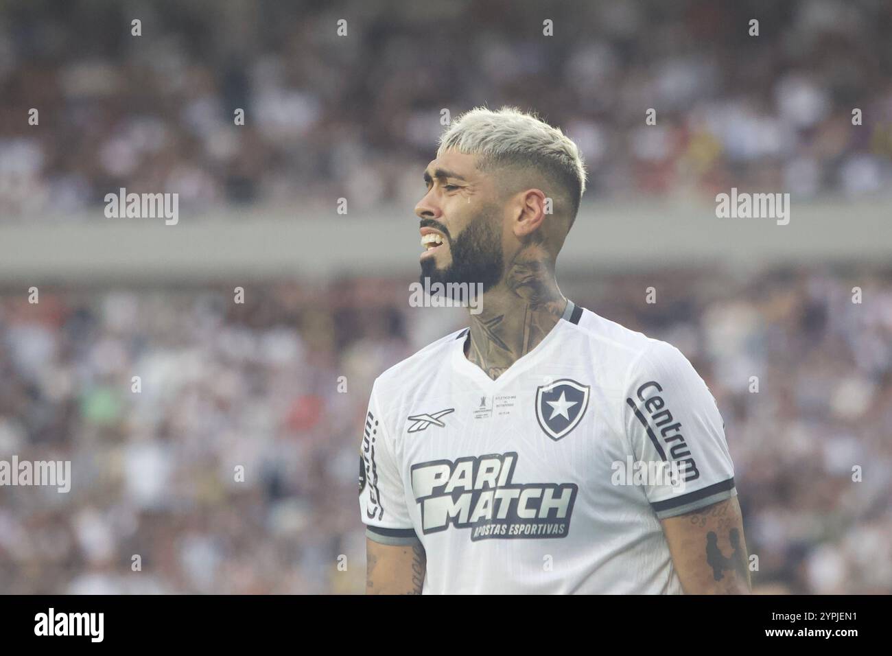 Buenos Aires, Argentina. 30th Nov 2024. MAS Monumental Stadium Botafogo ...