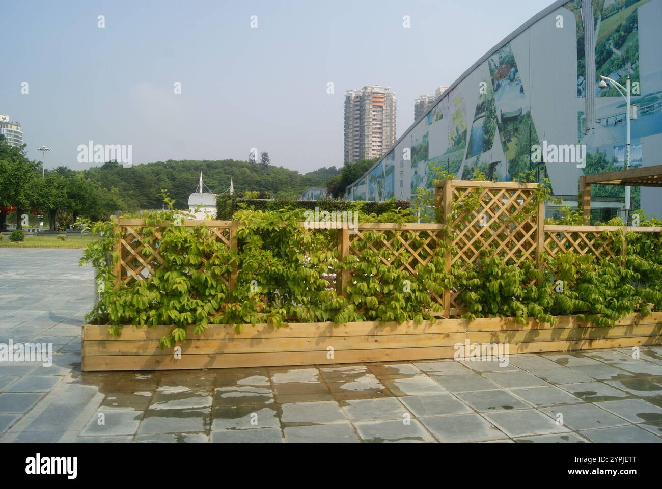 Landscape of Shenzhen International Garden and Flower Expo Park Stock ...