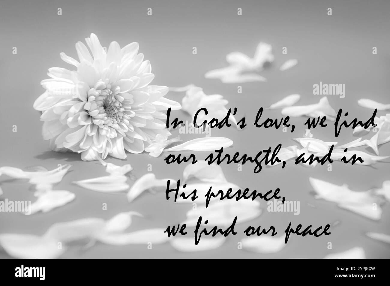 Flower petals in black and white color background with Godly message ...