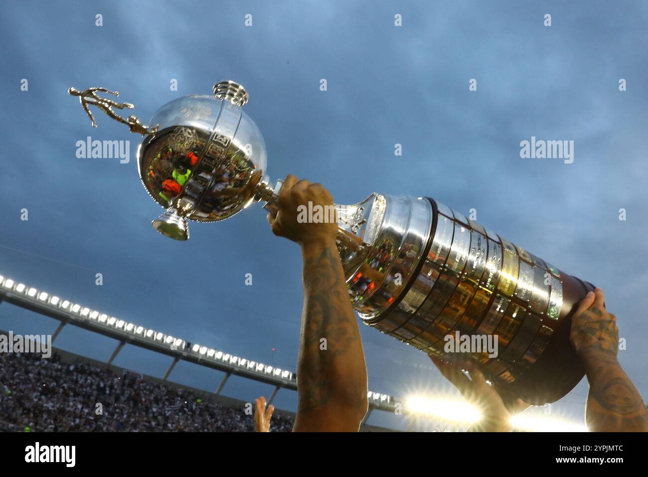 Buenos Aires, Argentina. 30th Nov 2024. Botafogo's players celebrate ...