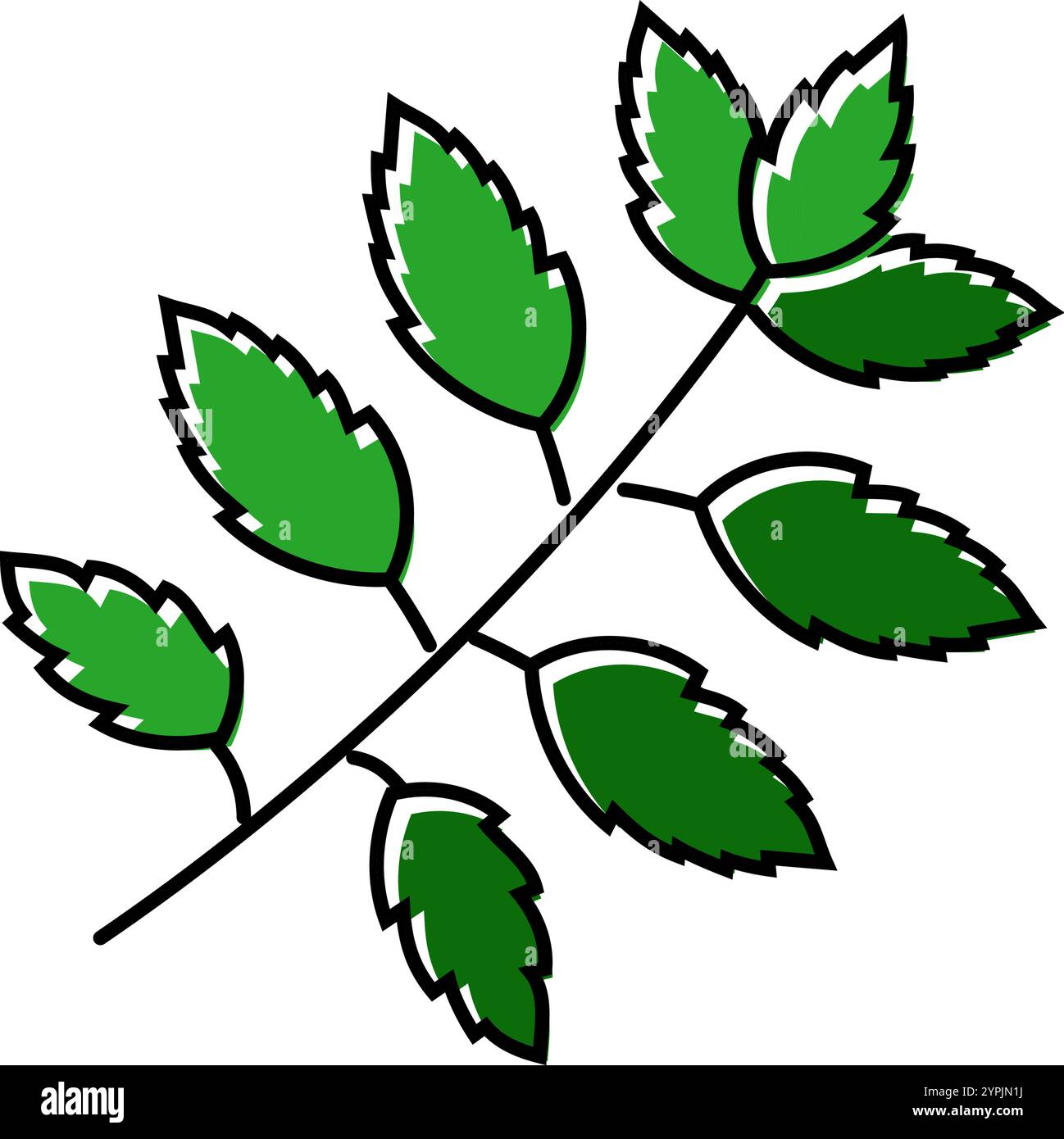 neem leaves ayurvedic herb color icon vector illustration Stock Vector ...
