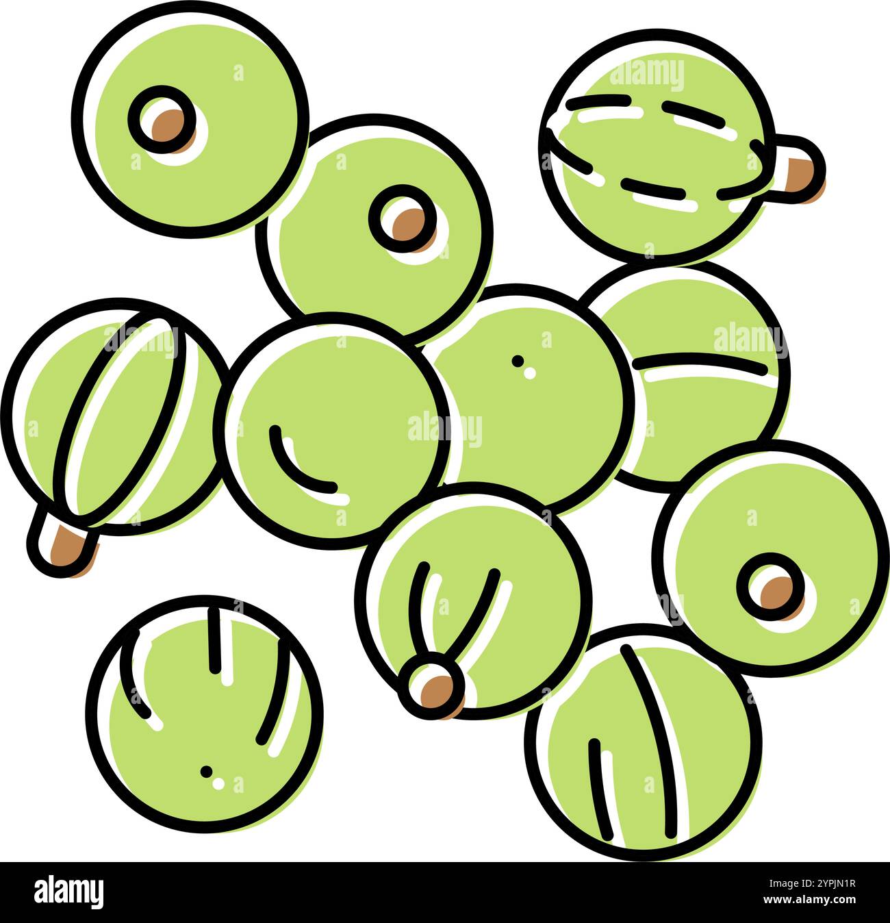 amla ayurvedic herb color icon vector illustration Stock Vector Image ...