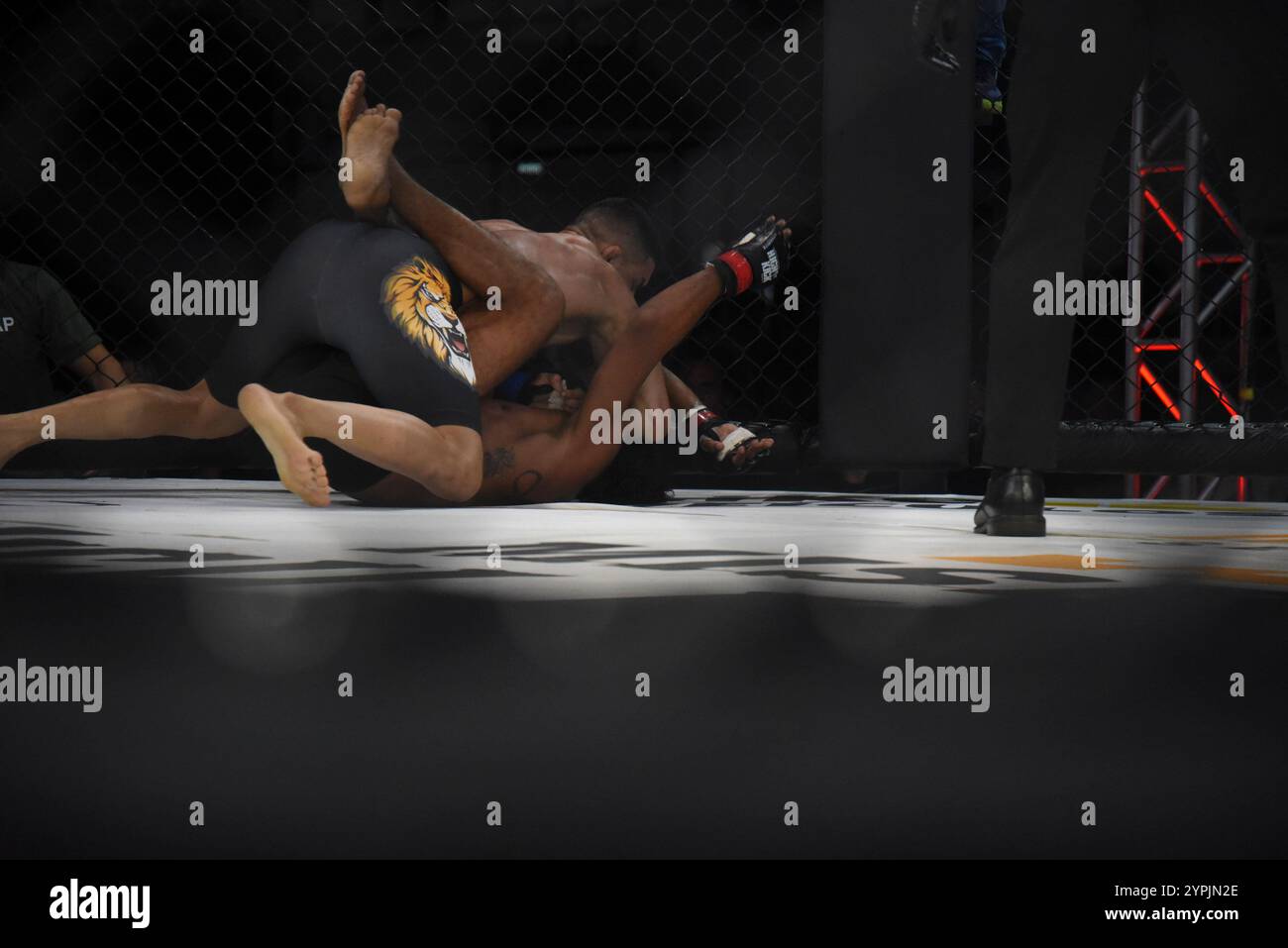 Fortaleza-CE Caior Rocha, Portugal. 30th Nov 2024. Kick Boxing and MMA ...