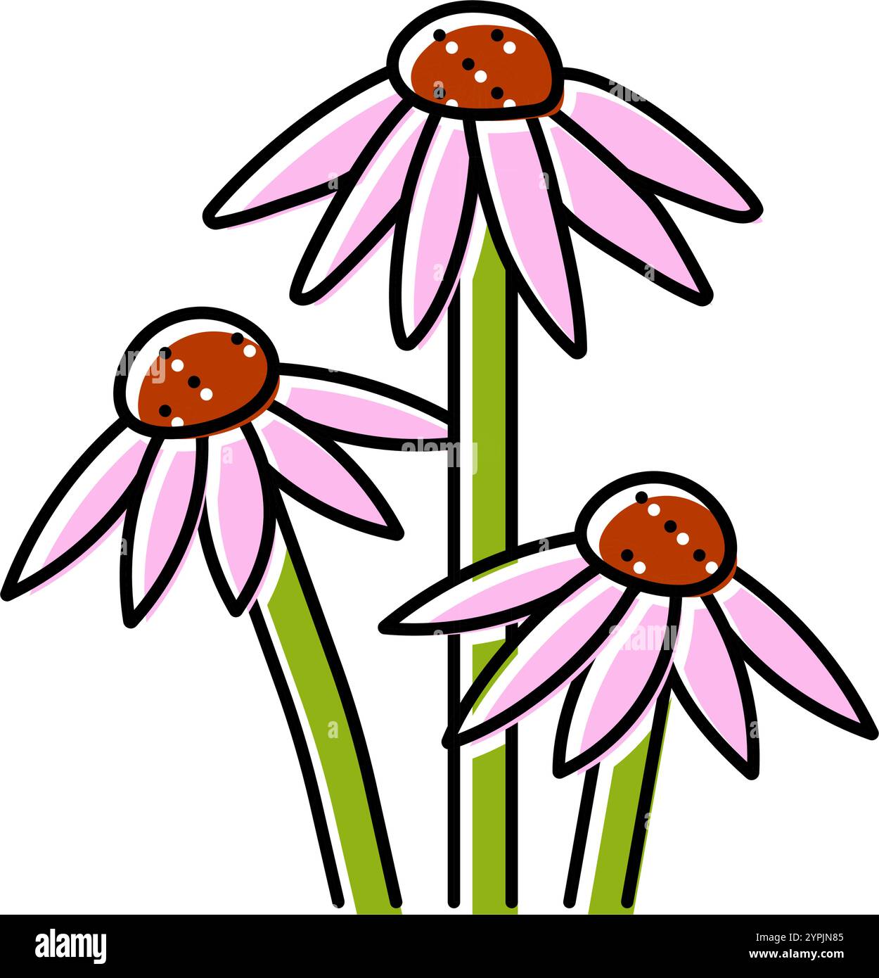 holy basil ayurvedic herb color icon vector illustration Stock Vector ...