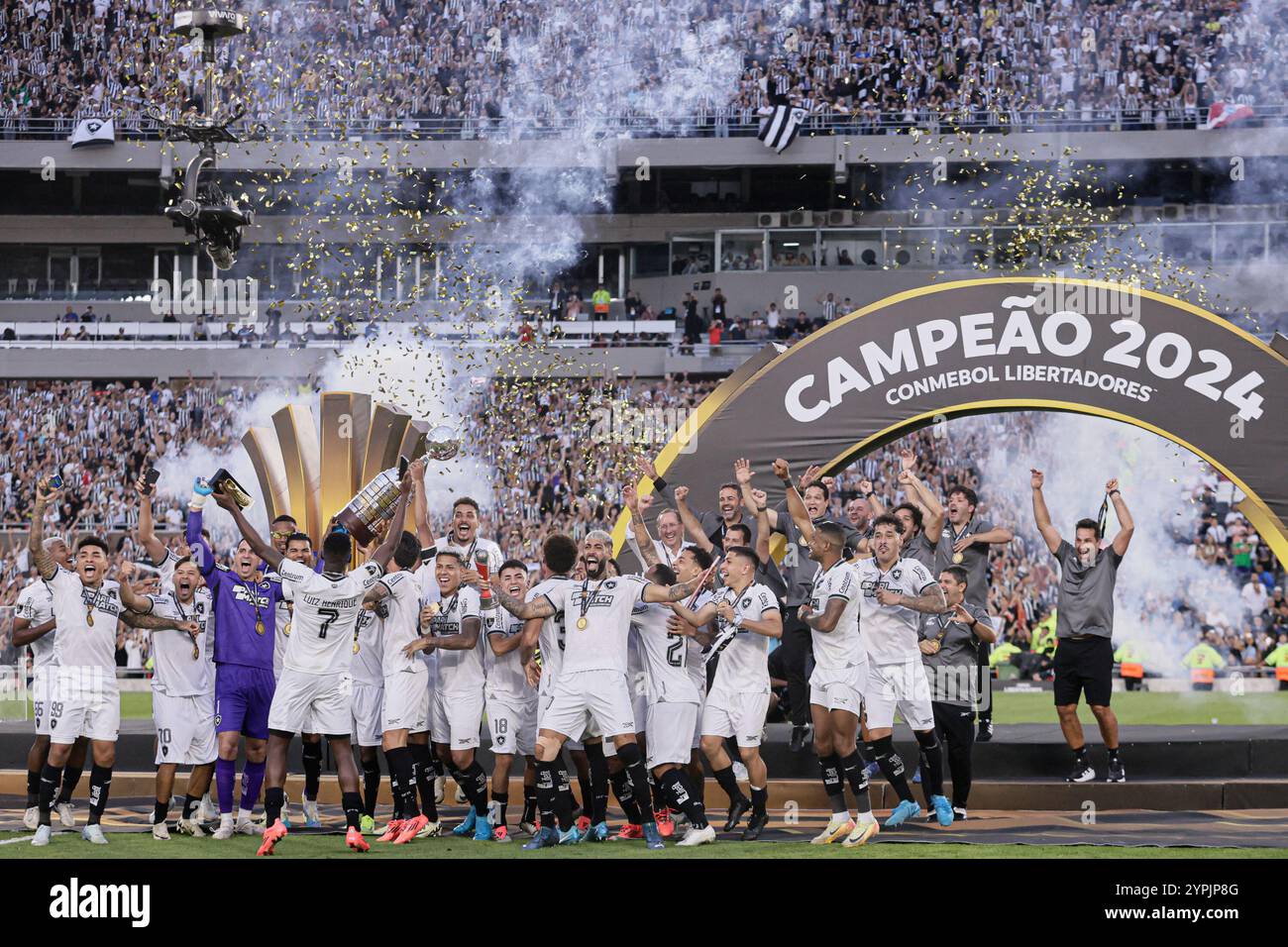 Buenos Aires, Argentina. 30th Nov, 2024. Players of Botafogo celebrate ...
