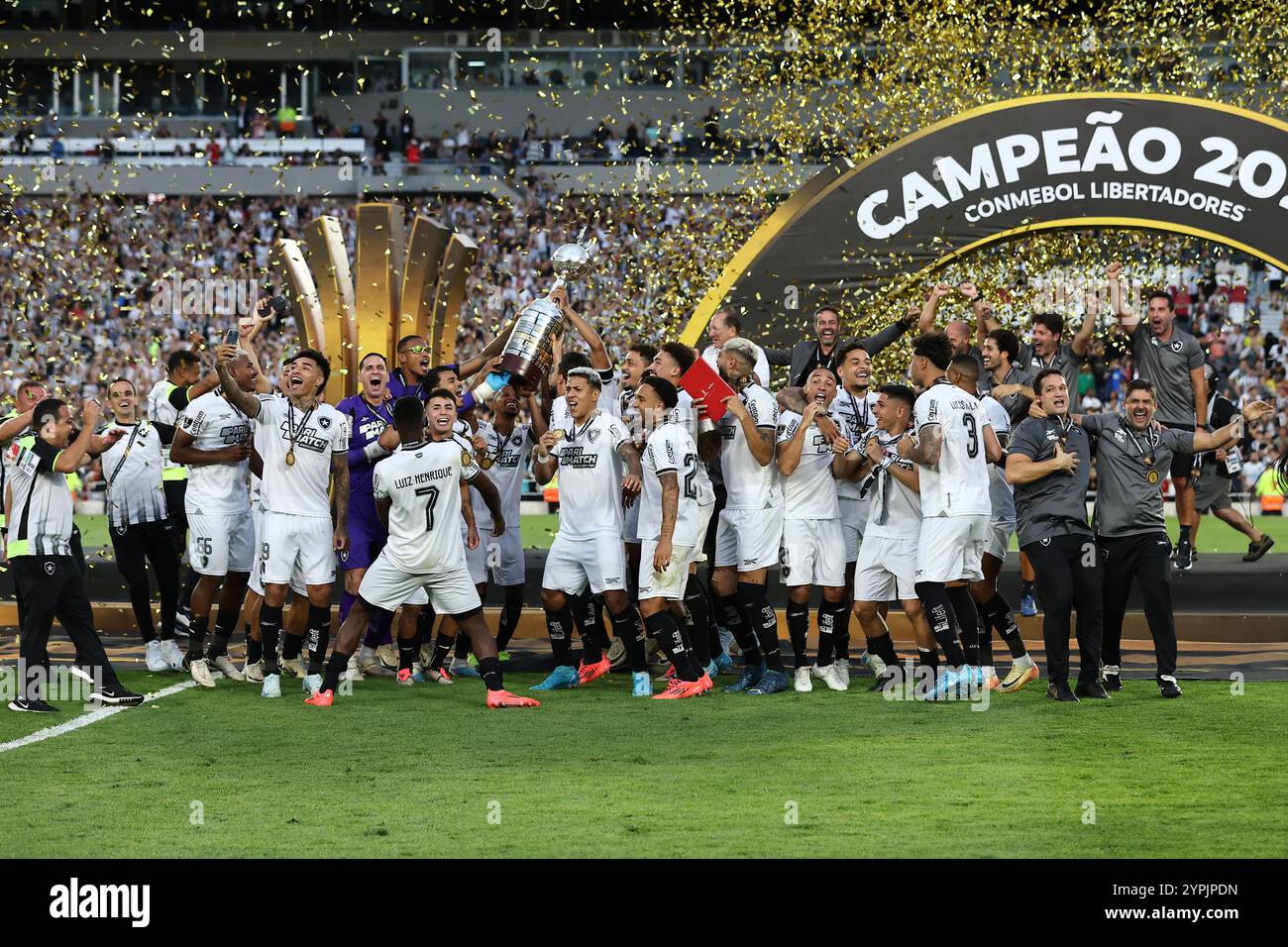 Buenos Aires, Argentina. 30th Nov 2024. Botafogo's players celebrate ...