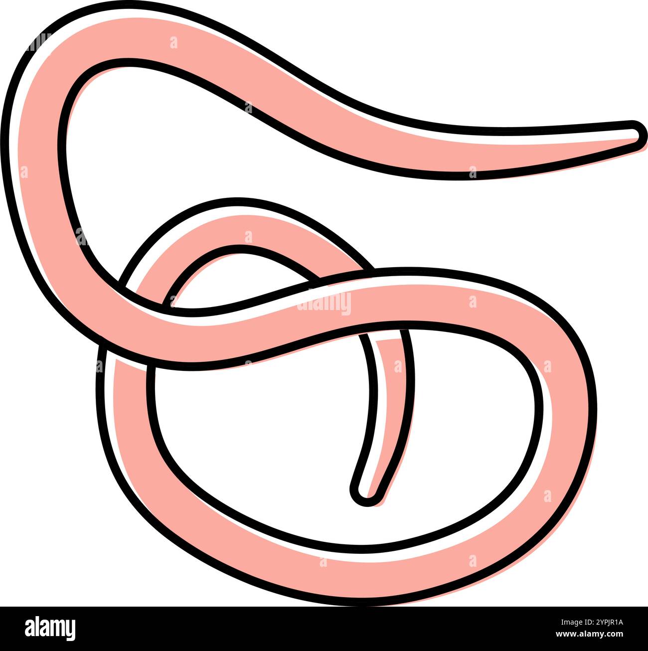 roundworm parasite color icon vector illustration Stock Vector Image ...