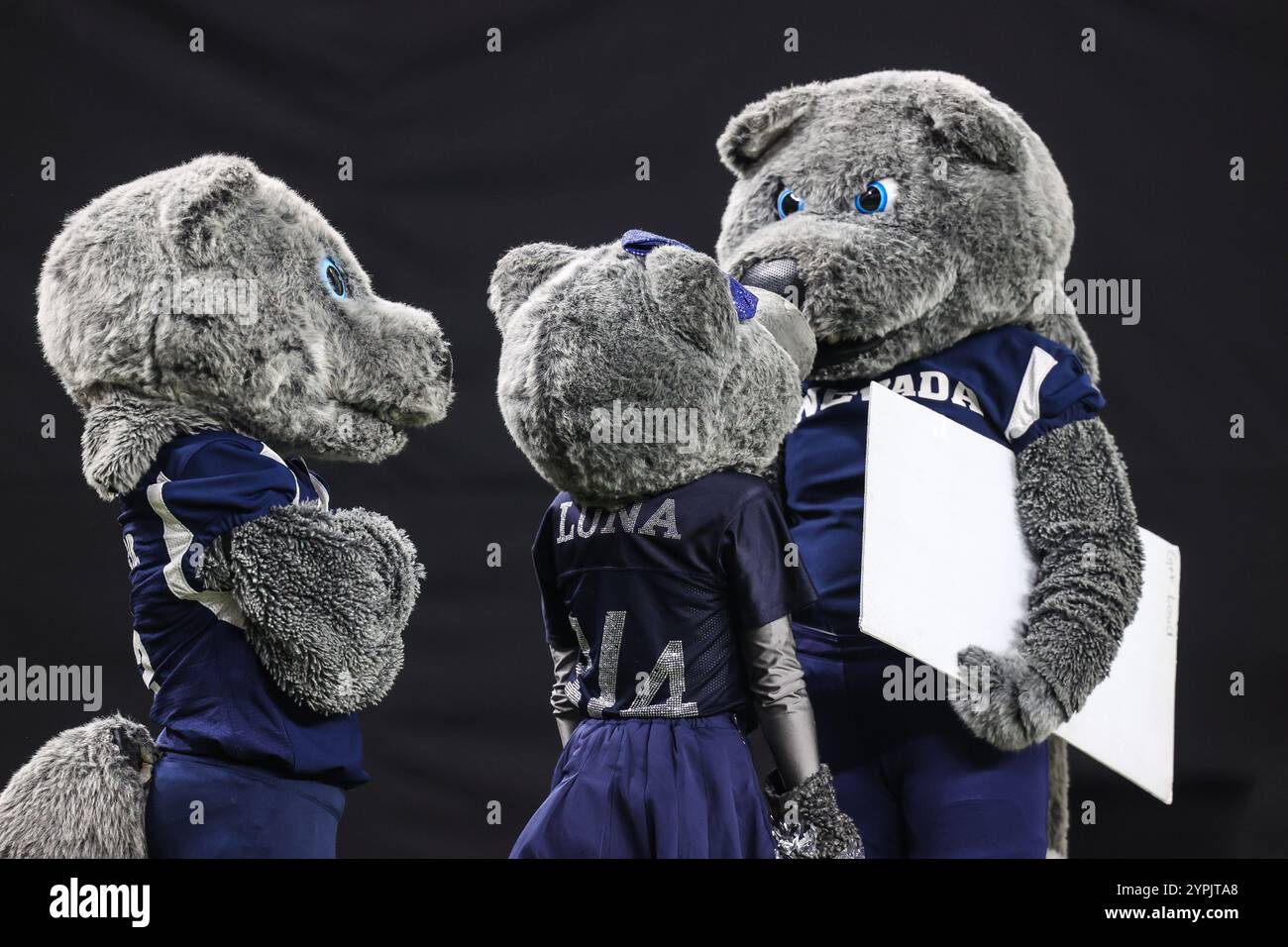 November 30, 2024: The Nevada Wolf Pack mascots on the field during the ...