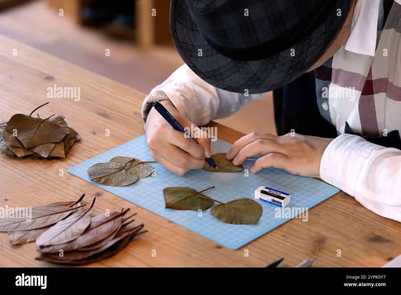 Japanese leaf-cutting artist, who goes by the name Lito, outlines on ...