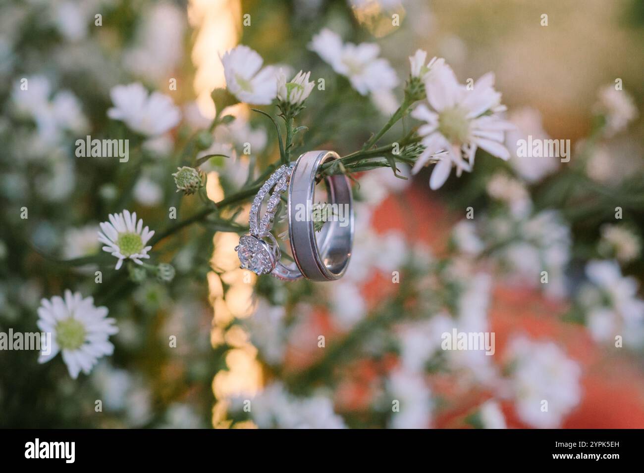 A wedding ring delicately placed inside a small flower stem, creating a ...