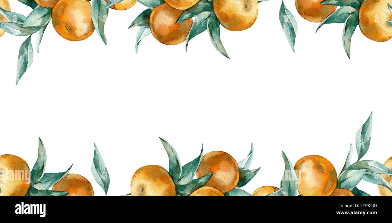 Mandarin branch with leaves frame isolated on white background. Hand ...