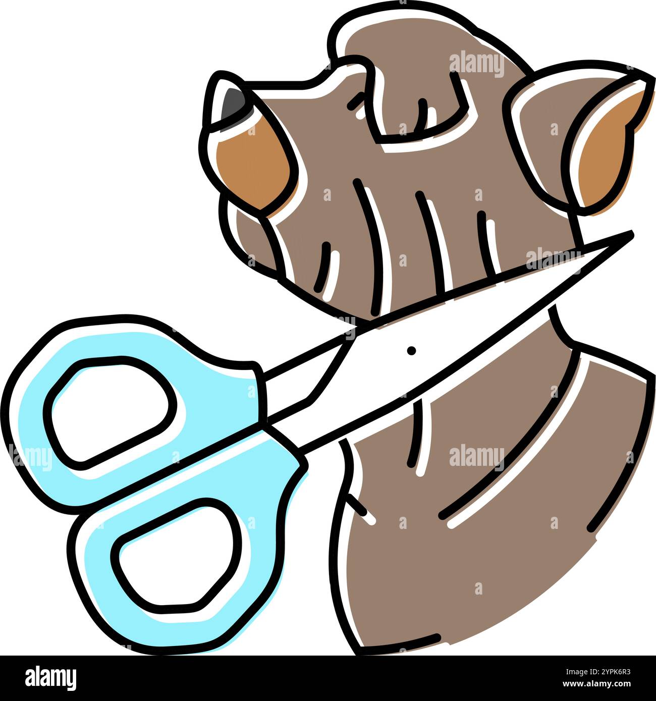 Dog grooming standards hi-res stock photography and images - Alamy