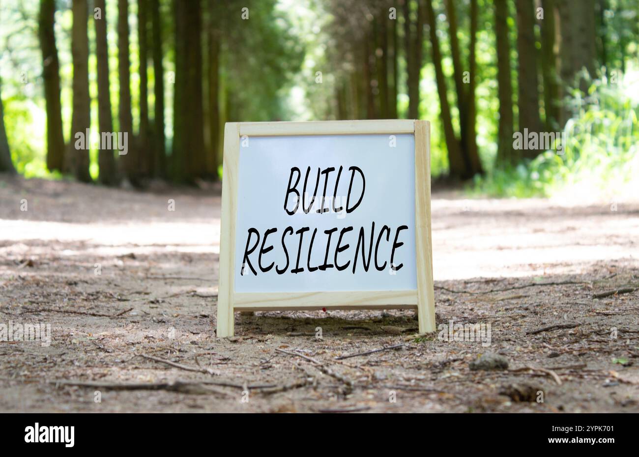 Build Resilience symbol. Build Resilience white chalk blackboard ...