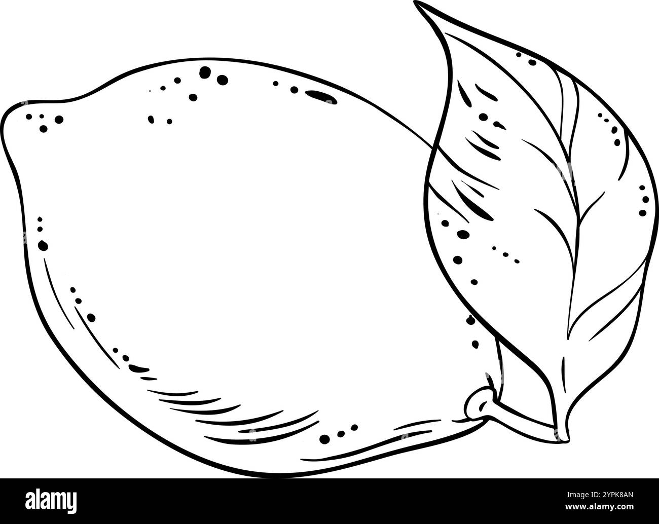 Lemon Fruit Isolated Outline Illustration Stock Vector Image & Art - Alamy