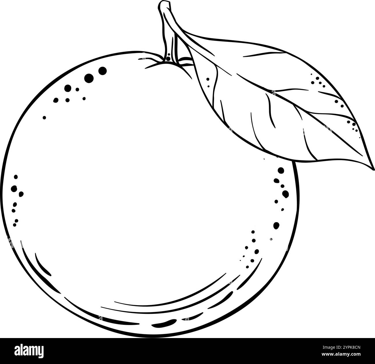 Orange Fruit Isolated Outline Illustration Stock Vector Image & Art - Alamy