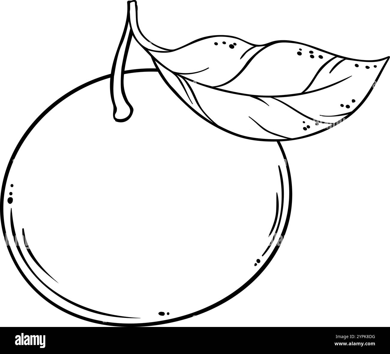 Tangerine fresh Black and White Stock Photos & Images - Alamy