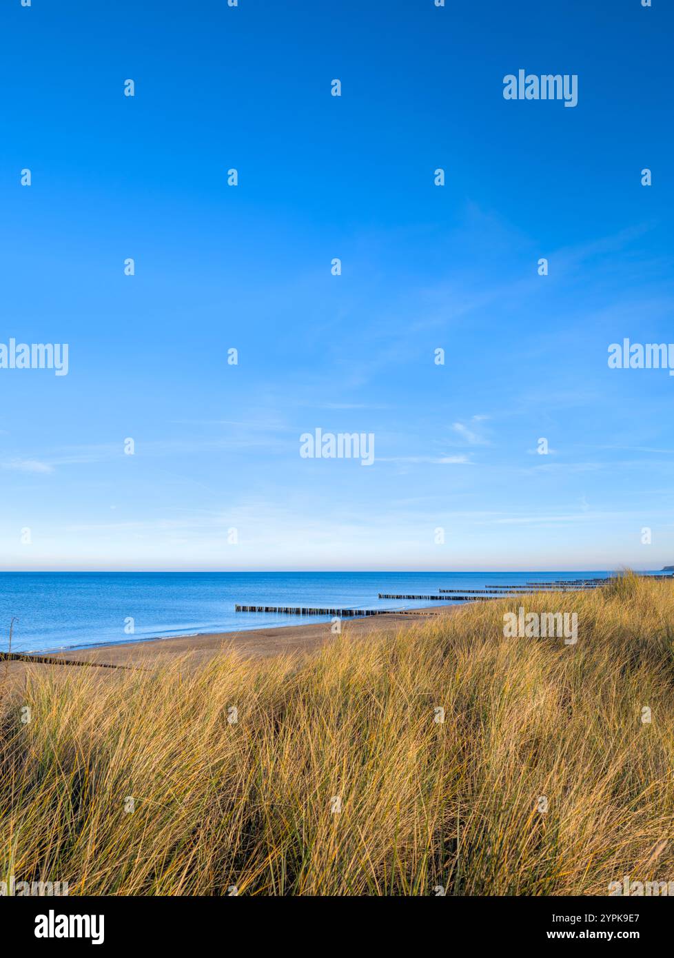 Groins ocean city hi-res stock photography and images - Alamy