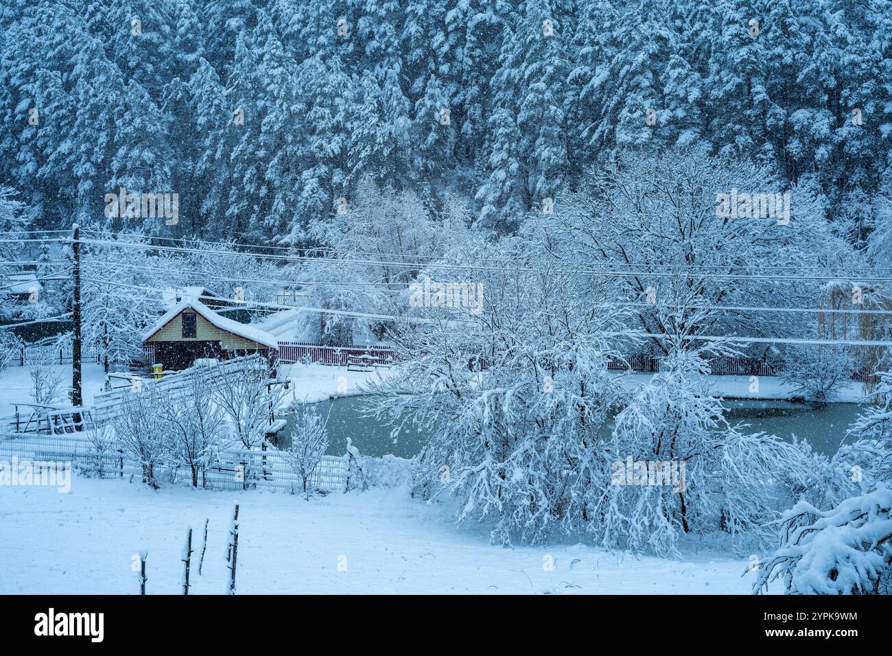heavy snow in winter landscape with house, lake and forest Stock Photo ...