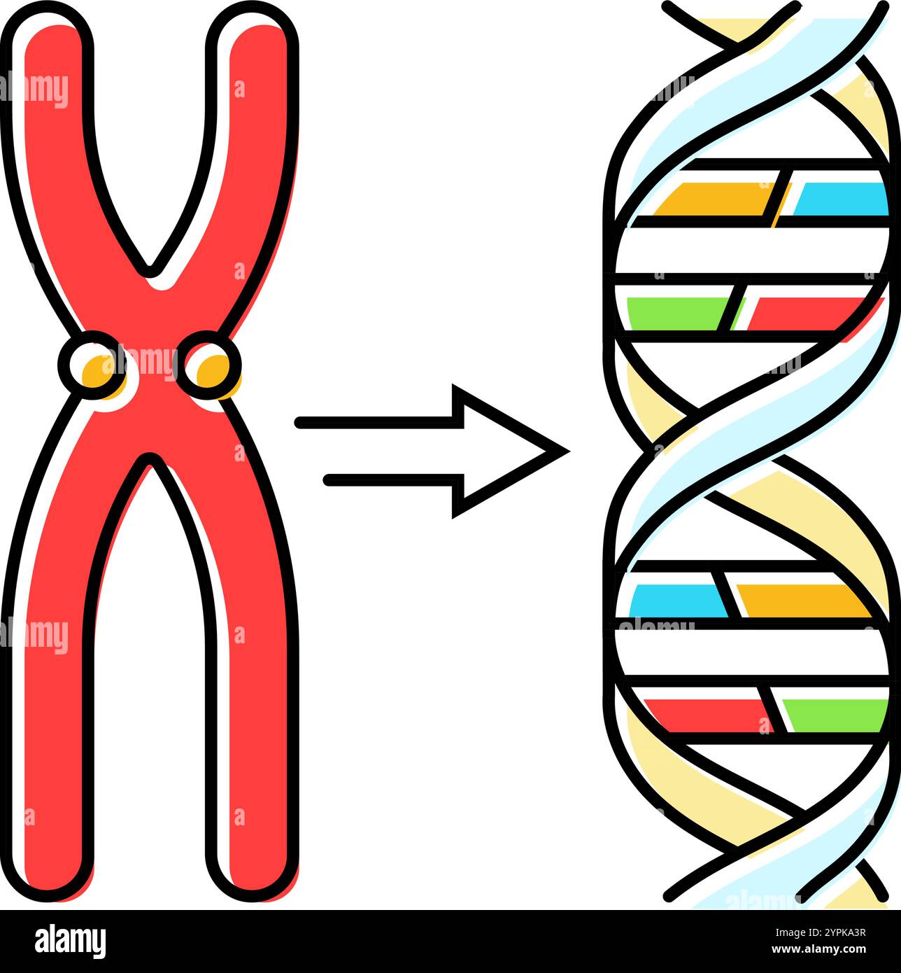 Genes and alleles hi-res stock photography and images - Alamy