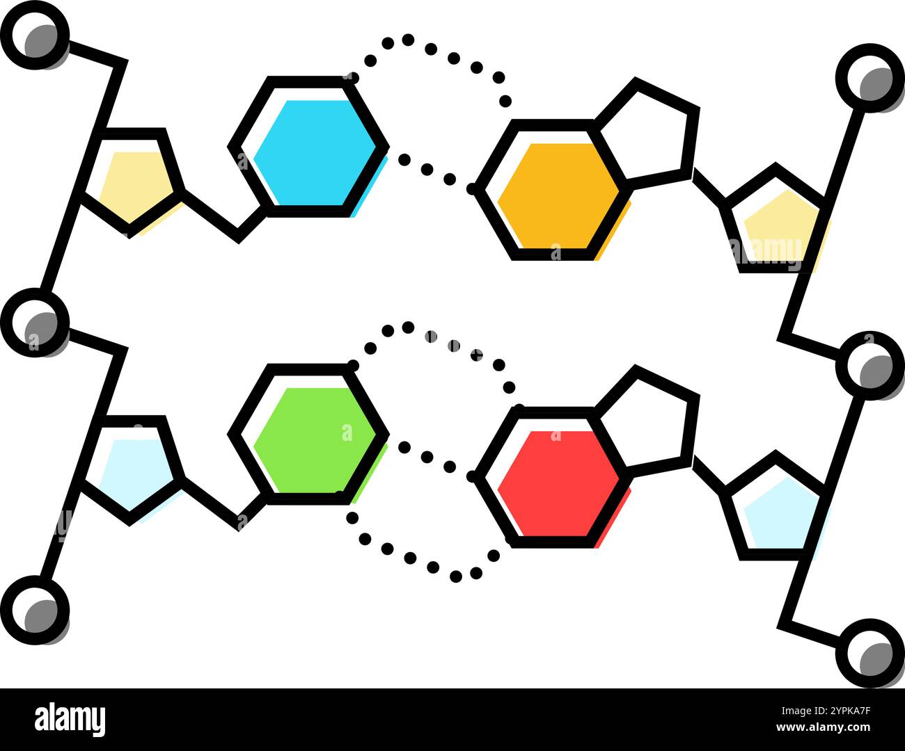 Genes and alleles hi-res stock photography and images - Alamy