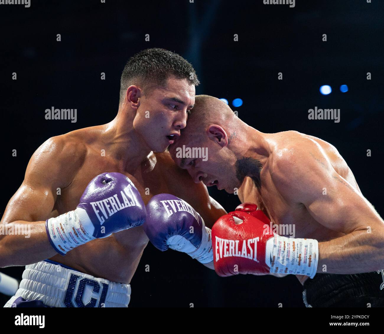 Birmingham, UK. 30th November. Gavin Gwynne v Cameron Vuong Boxing ...