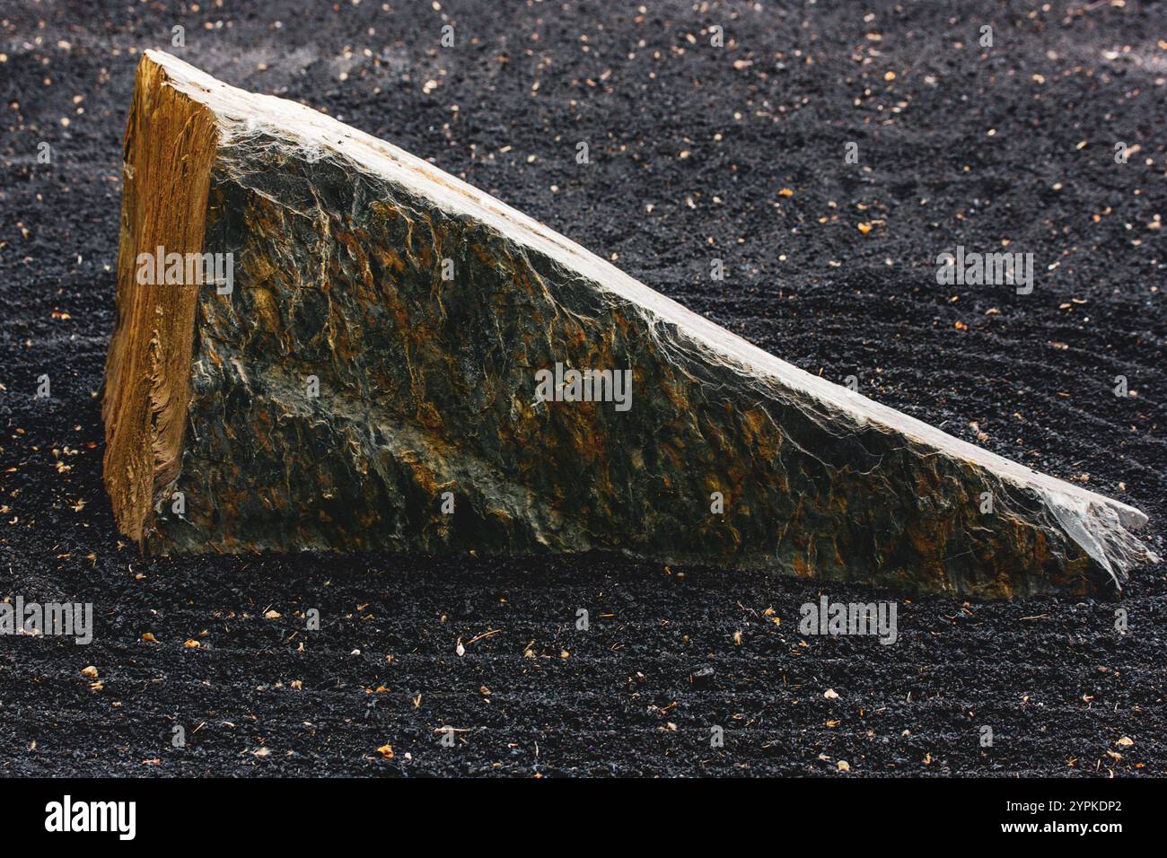 Japanese rock gardens zen gardens meditation gardens asia hi-res stock ...