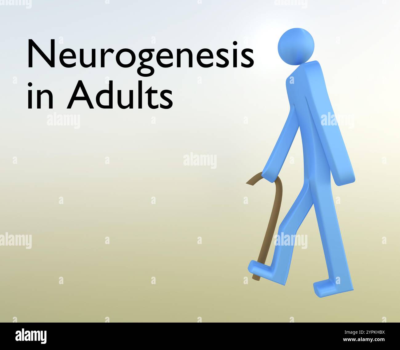 Adult neurogenesis hi-res stock photography and images - Alamy