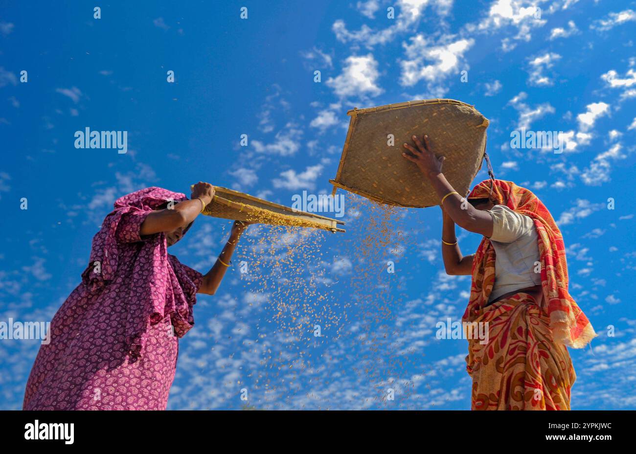 Navanna rice hi-res stock photography and images - Alamy