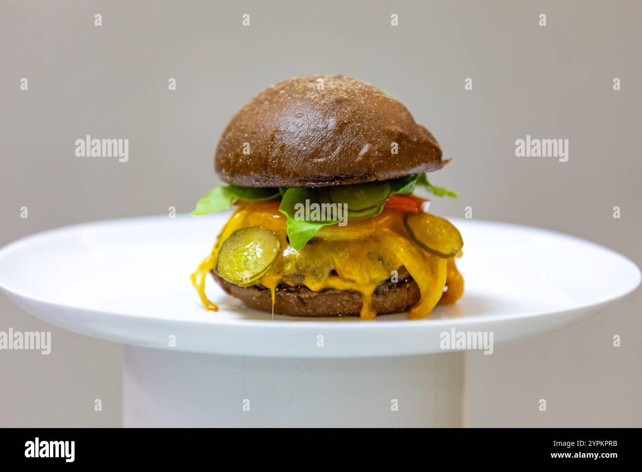 Traditional rustic burger sandwich with cheddar cheese, vegetables and ...