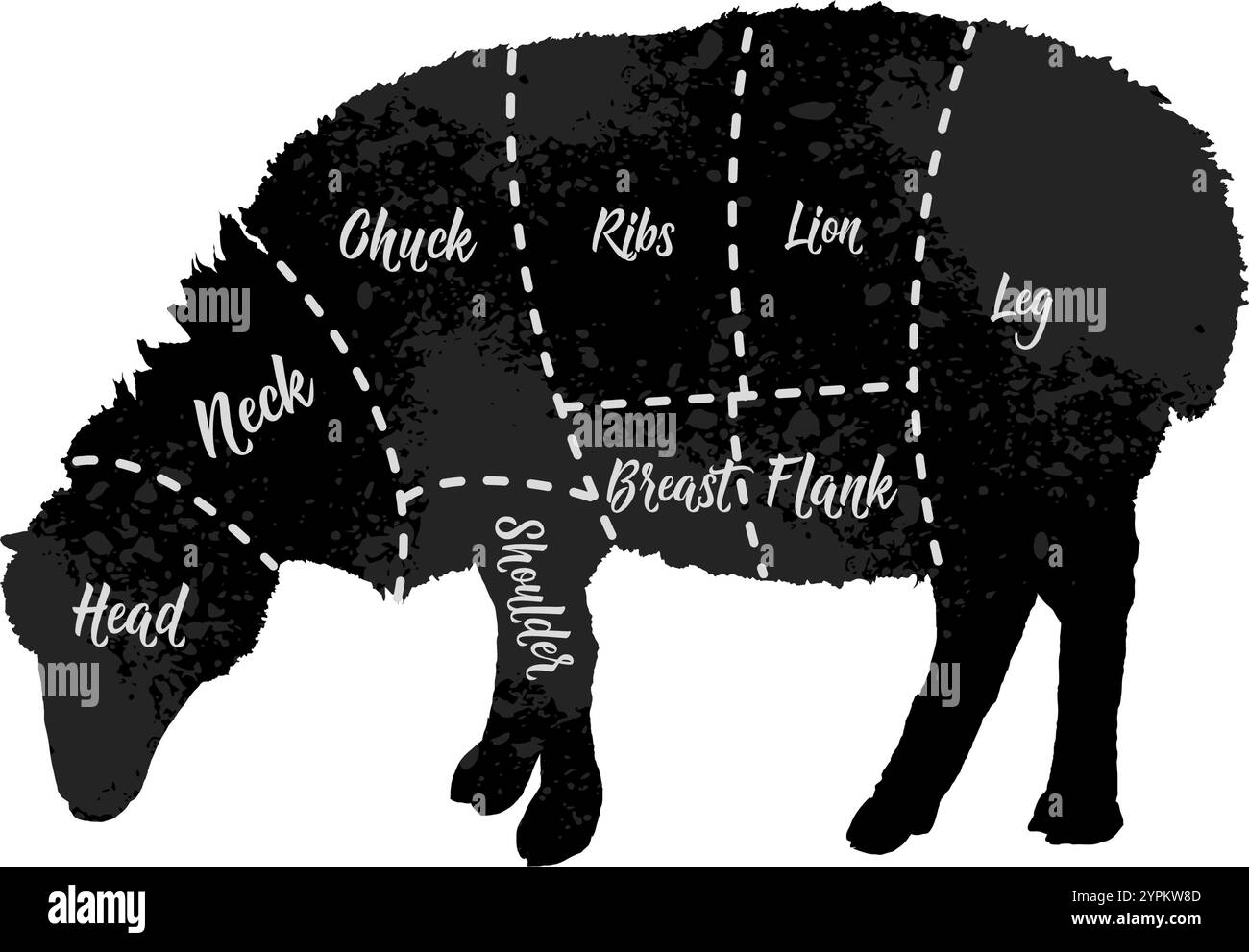 Butcher diagrams of meat cuts, sheep, lamb, mutton Stock Vector Image ...